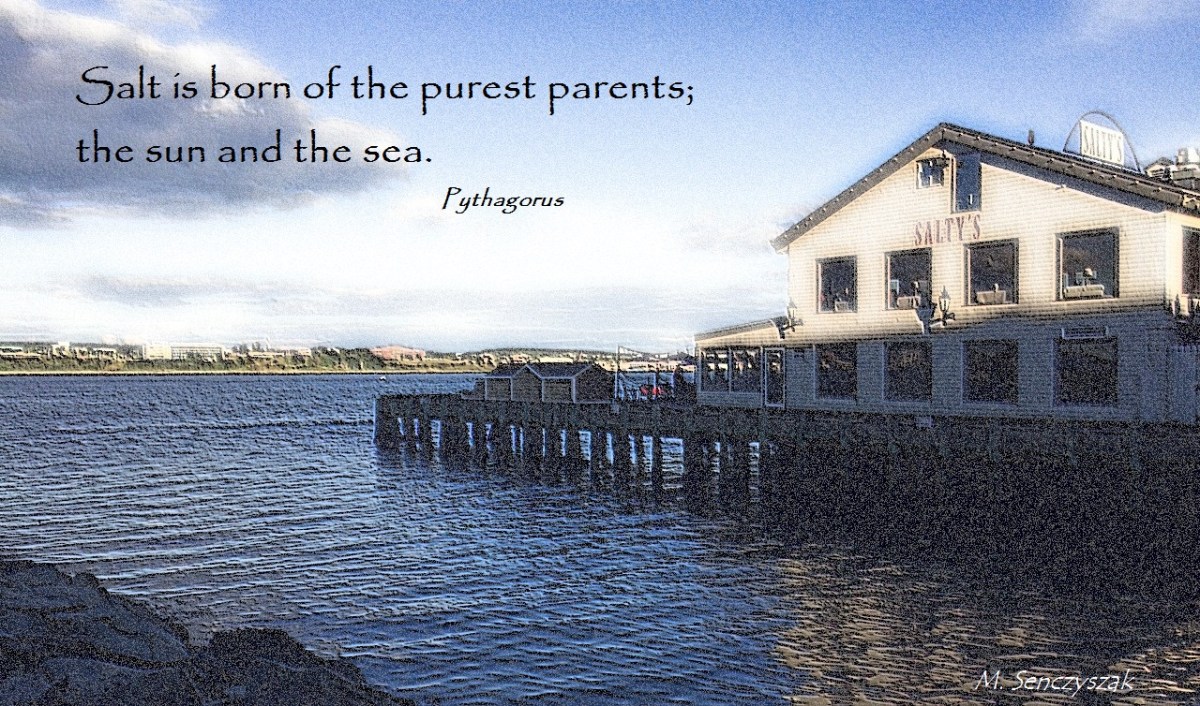Photogenic Quote of the Week (10) – Senczyszak.com